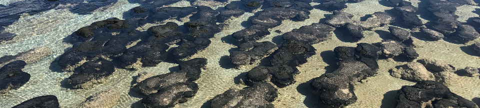 Boolagoorda Walk at Hamelin Pool, W.A. - Walking Maps