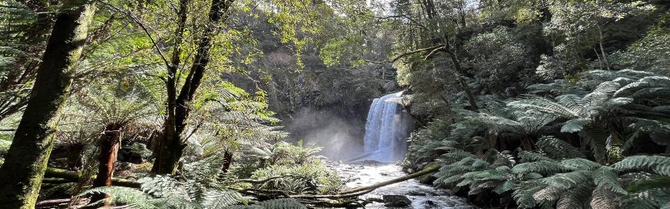 Hopetoun Falls - Walking Maps