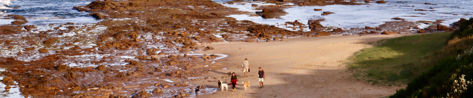 Kilcunda Beaches walk - Walking Maps