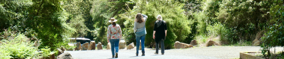 Coranderrk Weir loop walk - Walking Maps