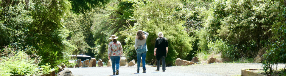 Coranderrk Weir loop walk - Walking Maps