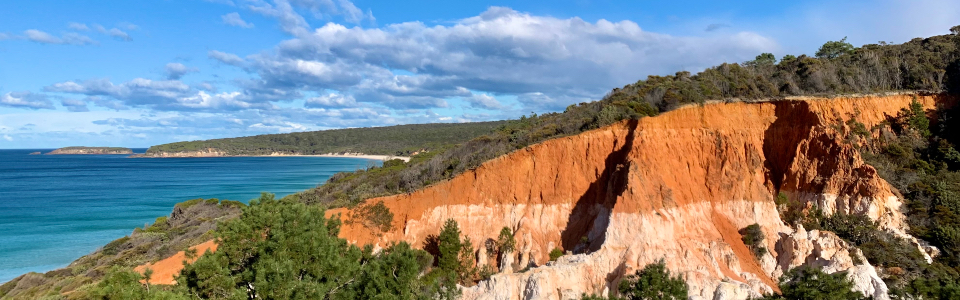 Pinnacles loop walk - Walking Maps