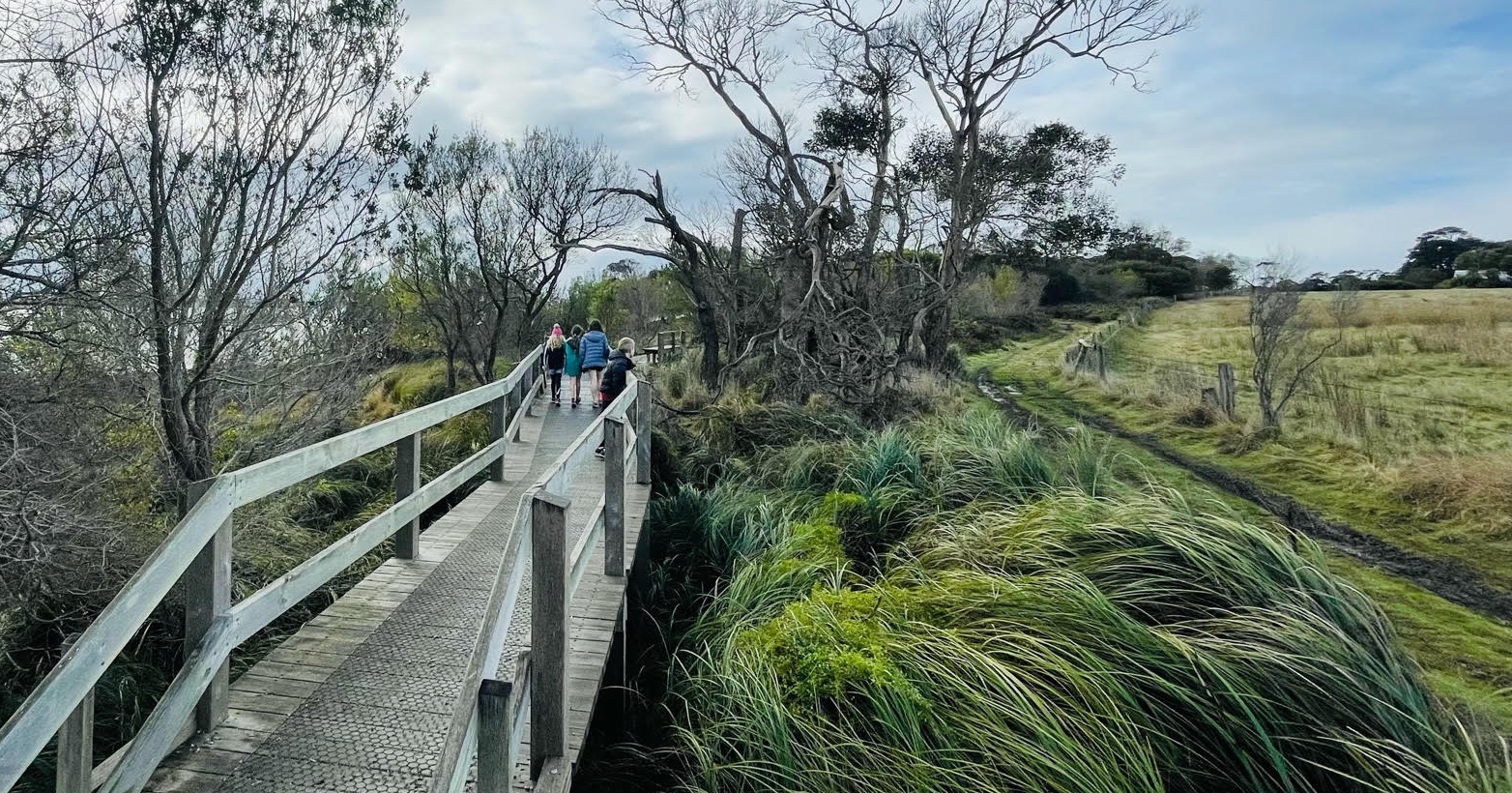 Rhyll Inlet wetlands walk, Phillip Island - Walking Maps