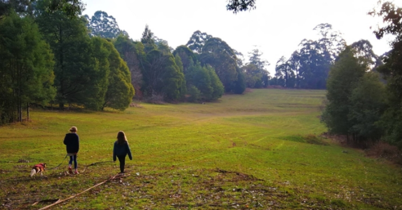 Mathias Track and Old Olinda Golf Course loop - Walking Maps