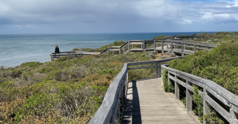 Point Addis walk - Walking Maps