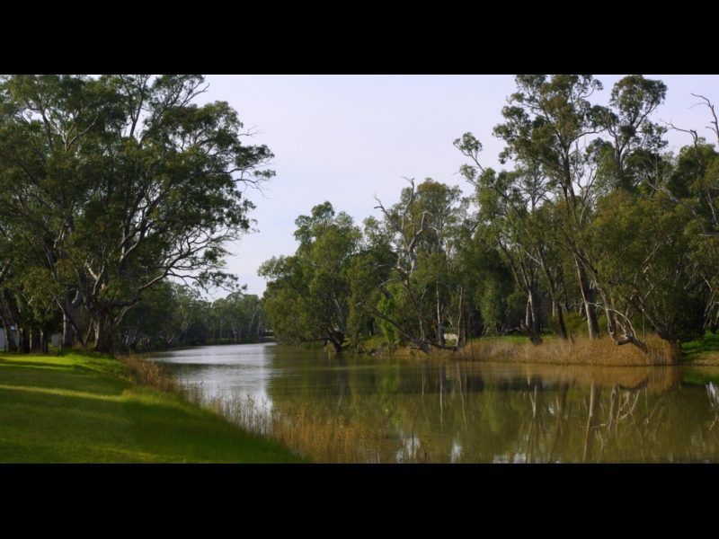 The Park - Wimmera River Walk No 1 - Dimboola - Walking Maps