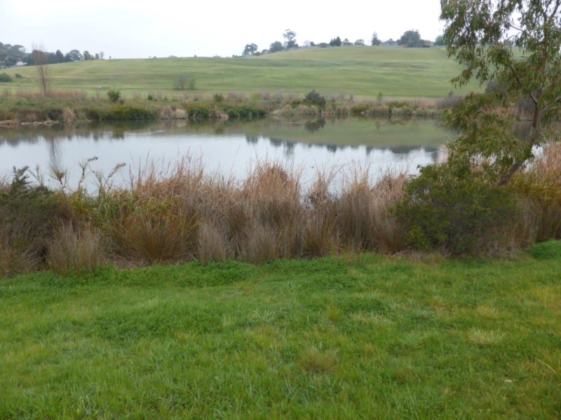 Station to Station - Jacana to Broadmeadows - Walking Maps