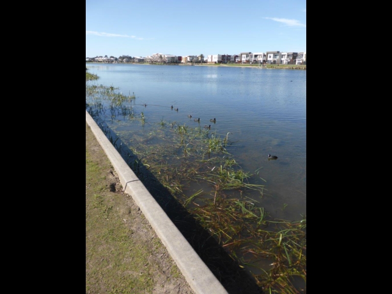 Lakeside Loop - Pakenham - Walking Maps