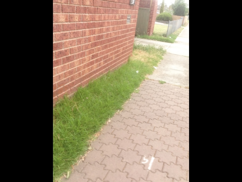 Tyndale walkability project - Walking Maps