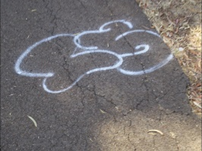 Walkability Walk - Walking Maps