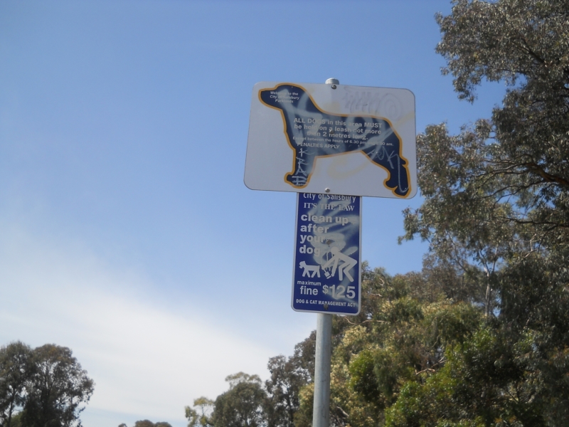 tyndale walkability - Walking Maps