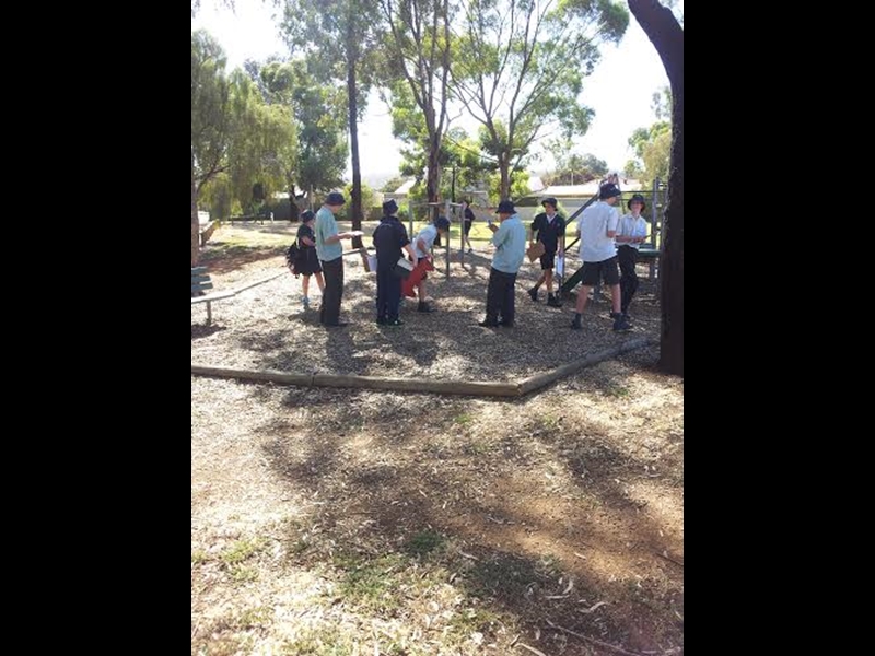 walkability walk - Walking Maps