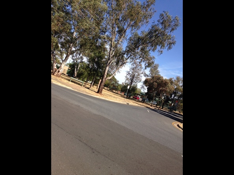 Tyndale Christian school Walkability Audit - Walking Maps