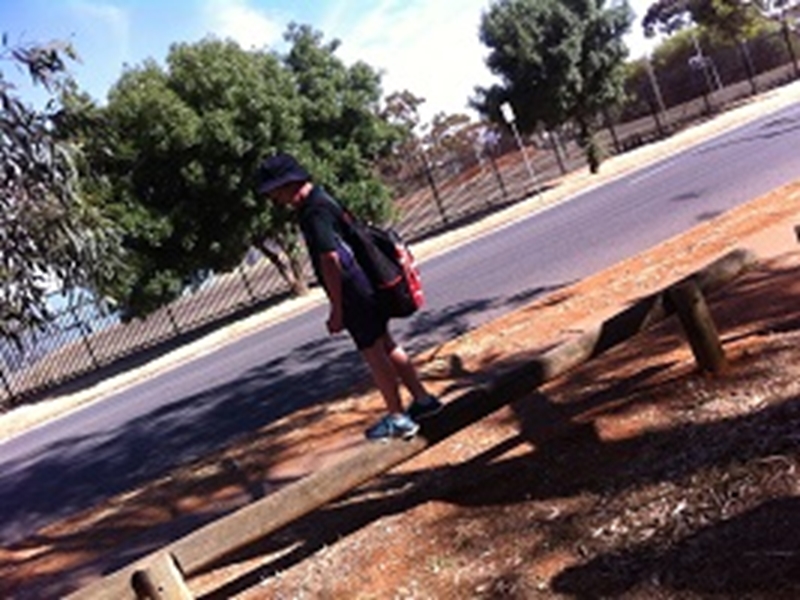 walkability project - Walking Maps