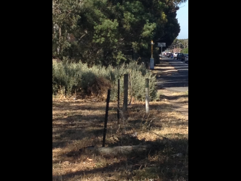 Tyndale walkability assignment - Walking Maps