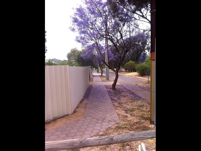 Walkibility Audit Check - Walking Maps