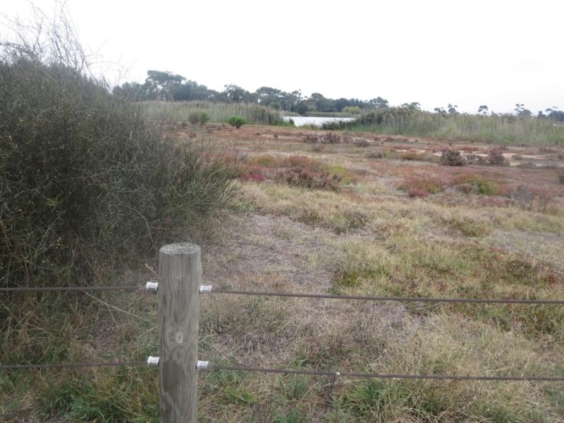 Stroll around Cherry Lake Altona - Walking Maps
