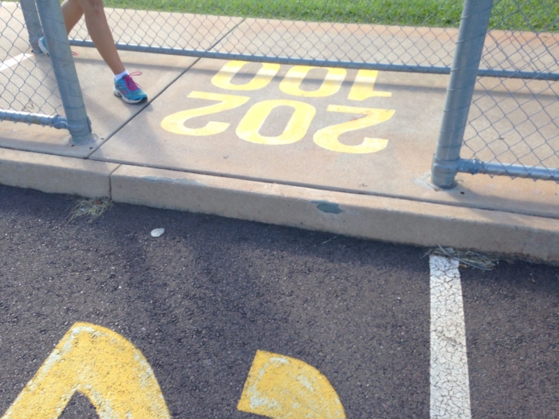 Geography Walking Audit - Walking Maps