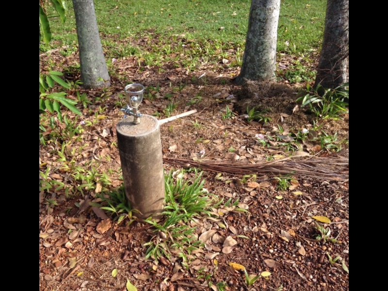 Geography Walking Audit - Walking Maps