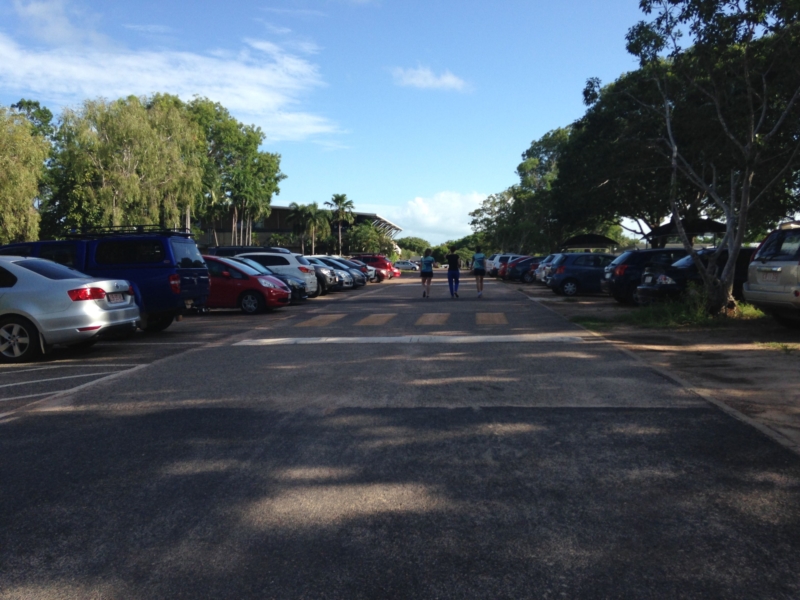 Geography Walking Audit - Walking Maps