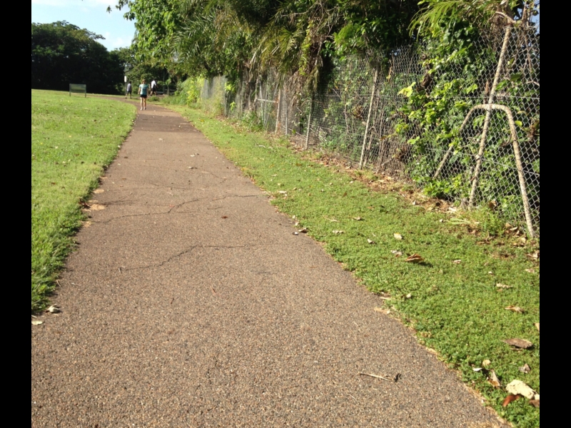 Geography Walking Audit - Walking Maps