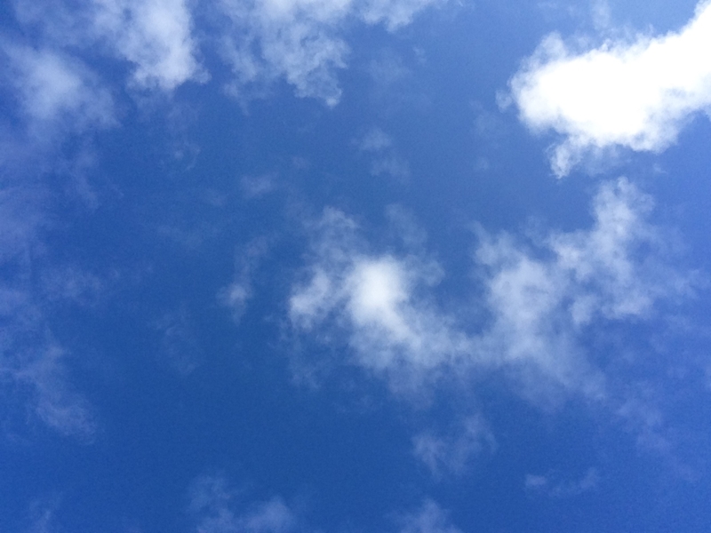 Walking Audit - Walking Maps