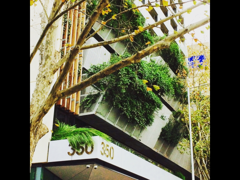 Bring Nature Back to Melbourne Walking Tour - Melbourne Open House ...