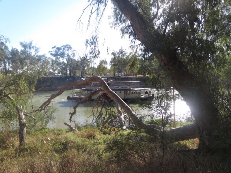 Victoria Park Reserve, Echuca - Walking Maps