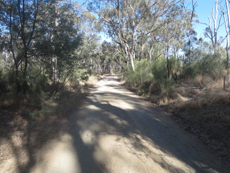Victoria Park Reserve, Echuca - Walking Maps