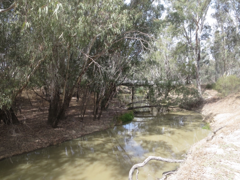 Banyule State Forest, Echuca - Walking Maps