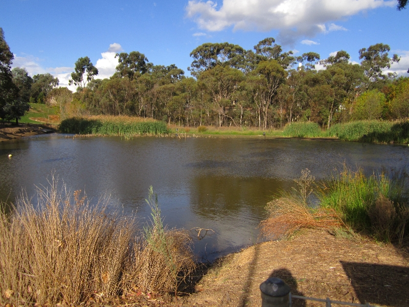 Walking around Flora Hill - Walking Maps