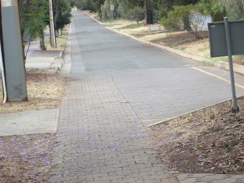 school community walk - Walking Maps