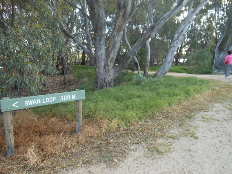 Kerang Levee - Walking Maps