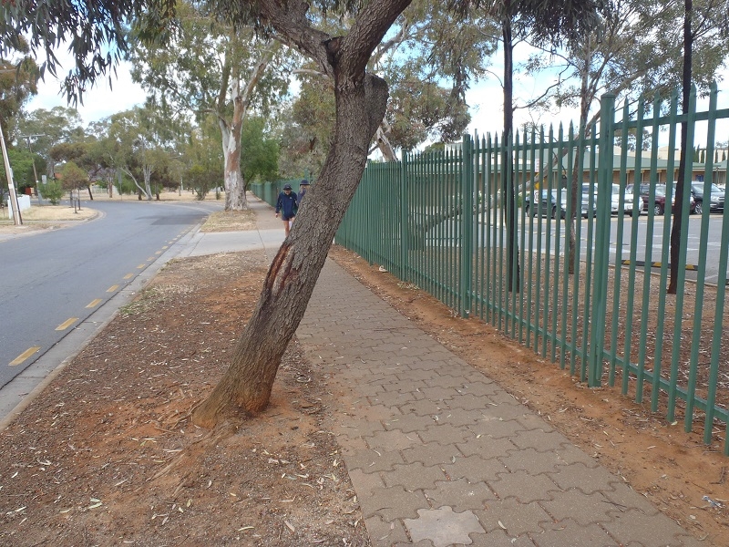 Walkability - Walking Maps