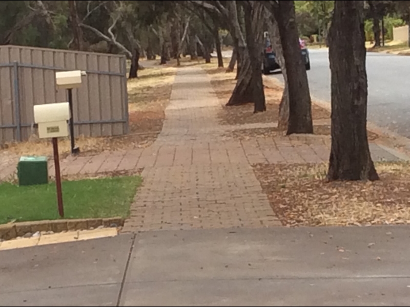 2015 SOSE Walkability project - Walking Maps