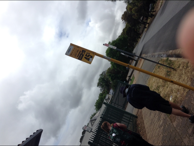 Walk ability Audit project - Walking Maps