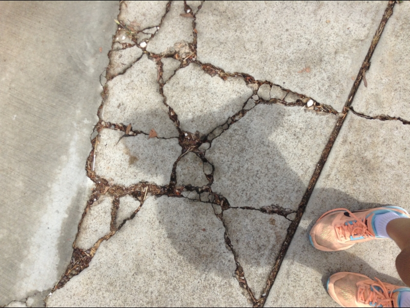 Walk ability Audit project - Walking Maps