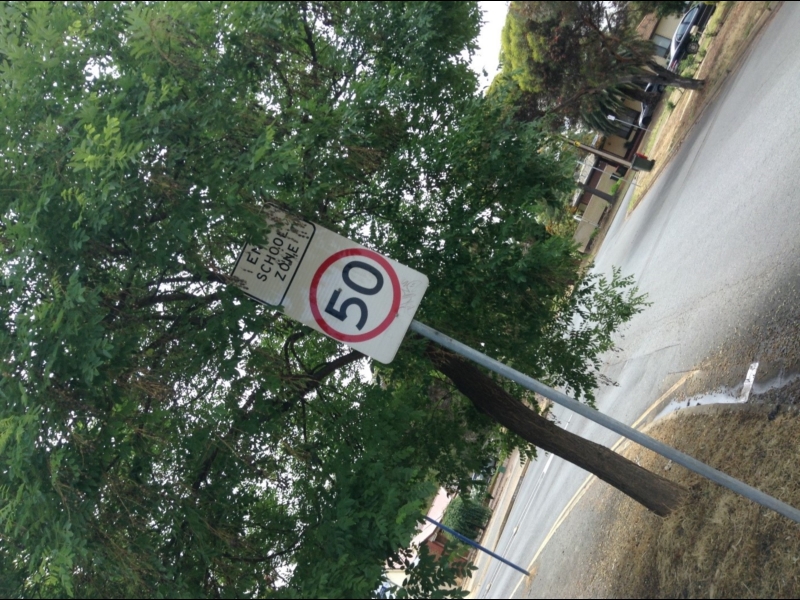 Walk ability Audit project - Walking Maps