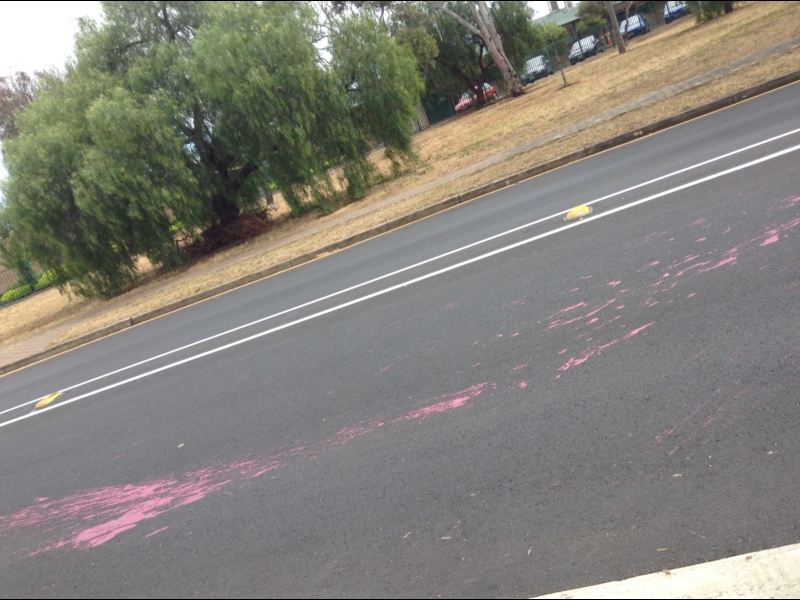 Walk ability Audit project - Walking Maps