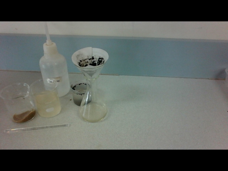 Walkability Audit Project - Walking Maps