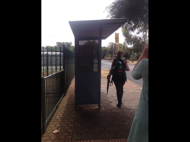 Walkability Audit Project - Walking Maps