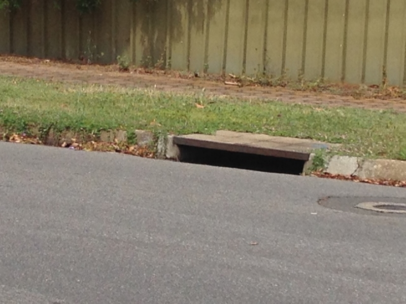 Walkability Audit Project - Walking Maps