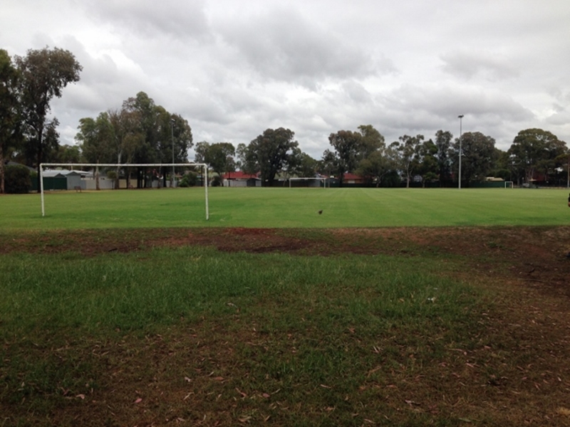 Walkability Audit Project - Walking Maps