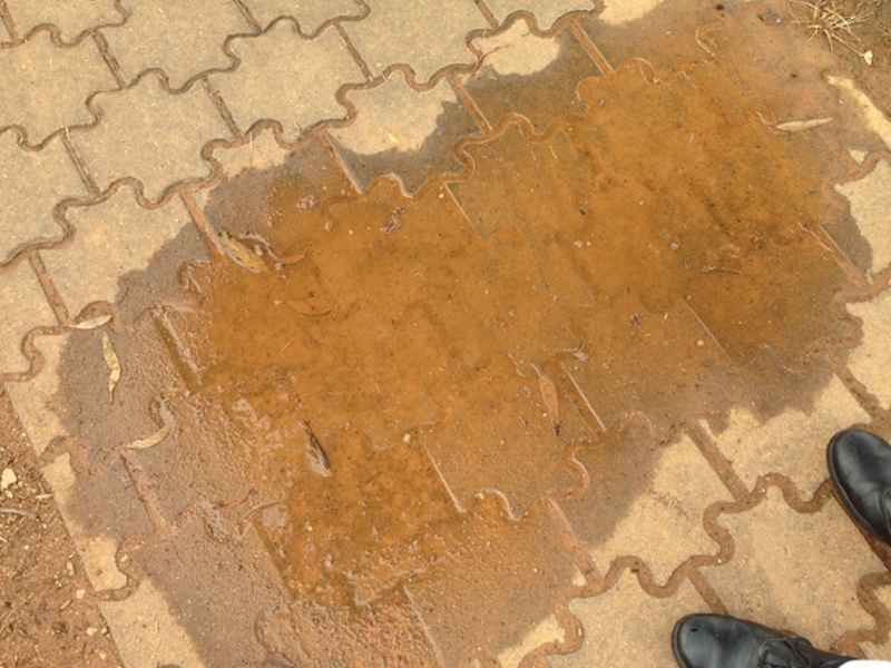 Walkability Audit Project - Walking Maps