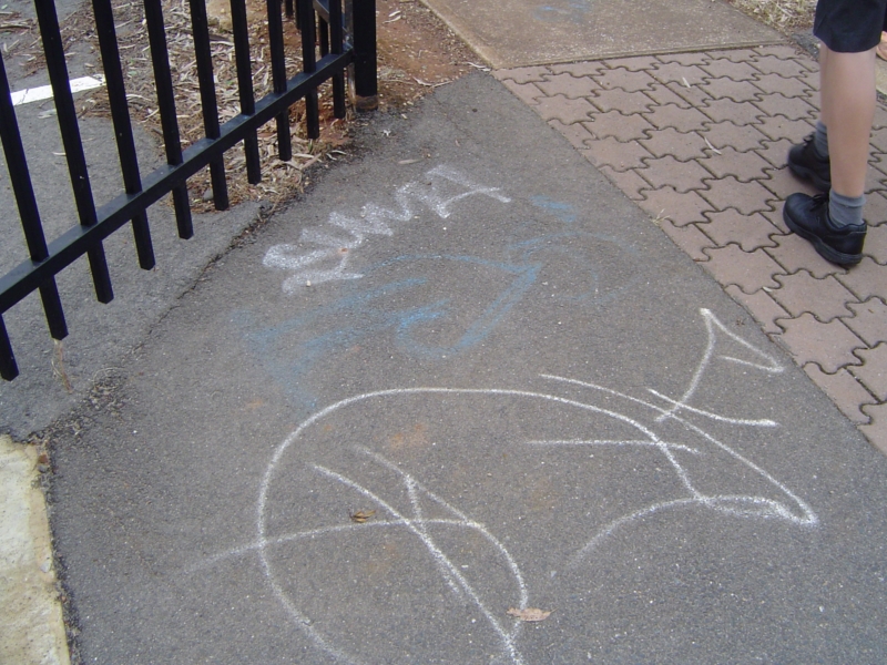 Walkability Audit Project - Walking Maps