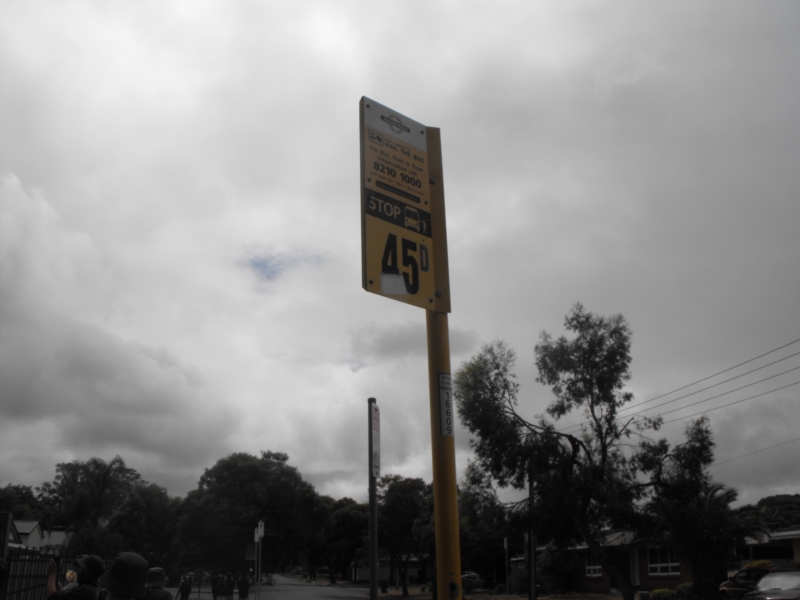 walkablity audit project - Walking Maps