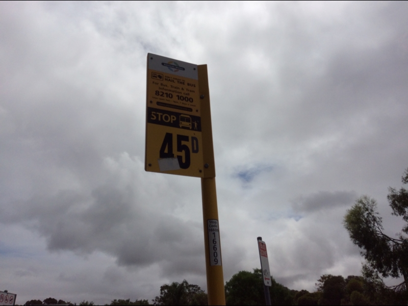 Walkability Audit Project - Walking Maps