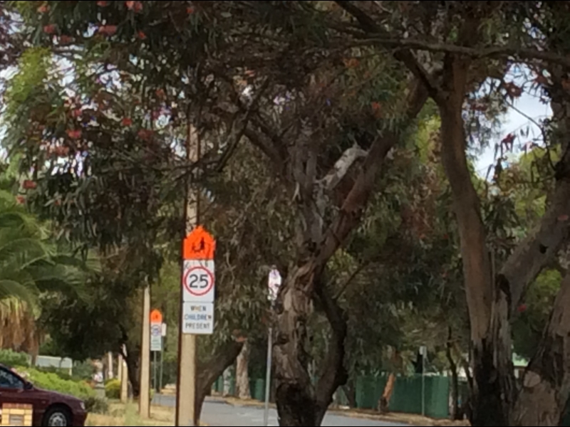 Walkability Audit Project - Walking Maps