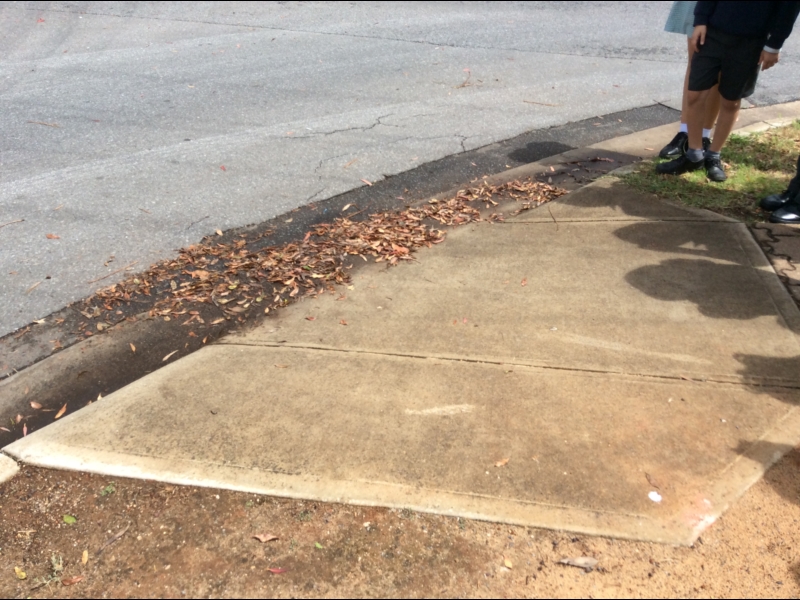 Walkability Audit Project - Walking Maps