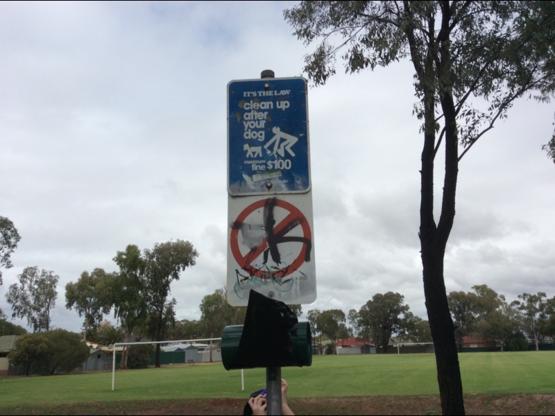 Walkability Audit Project - Walking Maps